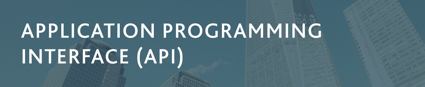 Application Programming Interface API 